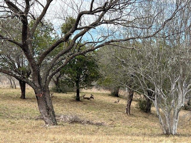 Duplex Hi Cir W Lot 8002, Horseshoe Bay, TX 78657