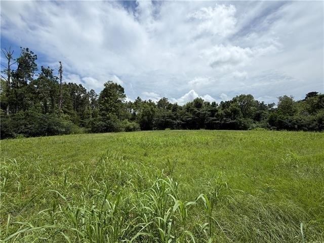 Dupree St, Pineville, LA 71360