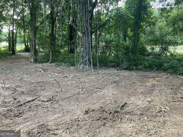 Durand Hwy, Warm Springs, GA 31830