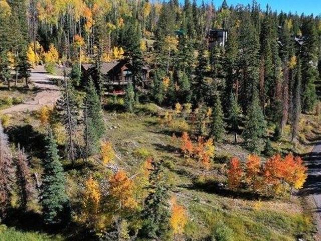 Durango CO 81301 LS95399352