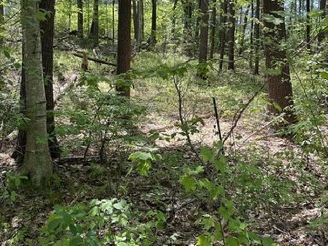Durkee Ln Lot A2, Westford, MA 01886