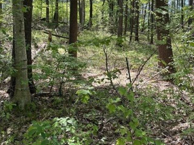 Durkee Ln Lot A, Westford, Plot For Sale