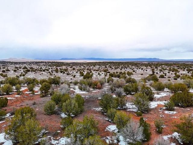 Dusty Rose Ranch Road 16 Acre # A, Seligman, AZ 86337