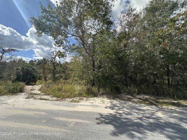 Dusky Warbler Rd, Weeki Wachee, FL 34614