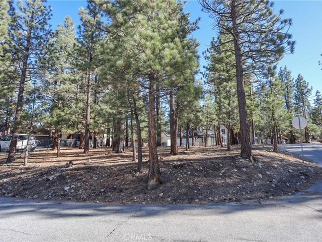 Dutch, Big Bear City, CA 92314