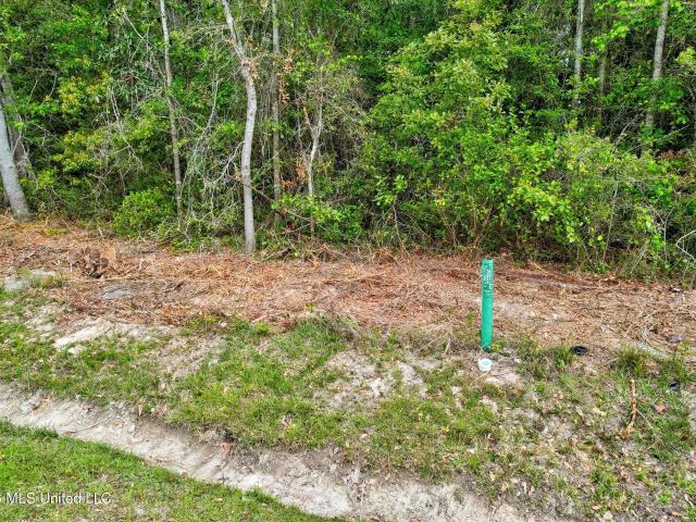 Duvernay Road, Waveland, MS 39576