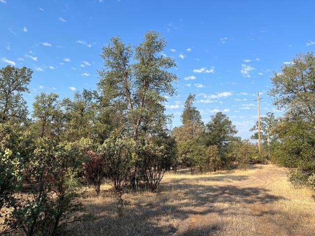 Dynasty Ln, Redding, CA 96003 | MLS #26 155