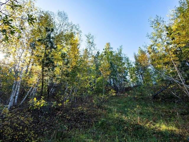 Dynasty Rd Lot 17, Lead, SD 57754
