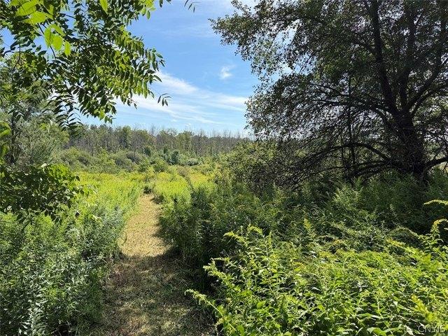 Dye Rd, South Dayton, NY 14138