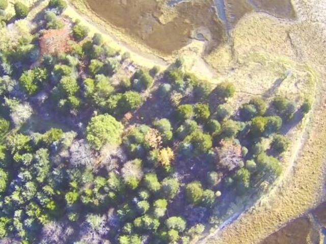 Dyer Prince Rd, Eastham, Plot For Sale