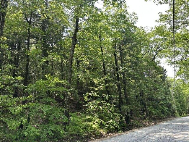 Dyke Mountain Rd Lot,sebago, Plot For Sale