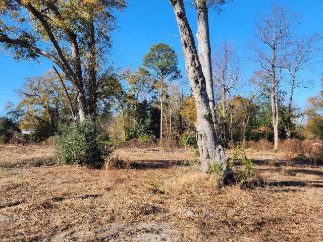 E1107 Eleven Farms Rd, Salemburg, NC 28385 | MLS #100480
