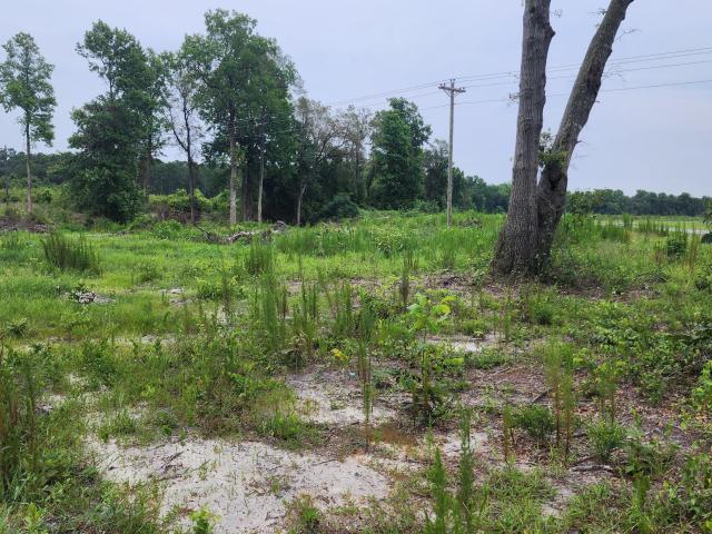 E1107 Eleven Farms Rd. Road