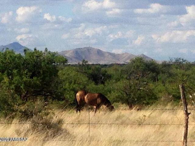 E162 E De Vaca Circle # 62