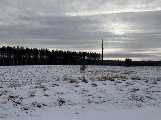 E1709 River Wood Dr Unit 16, Waupaca, WI 54981