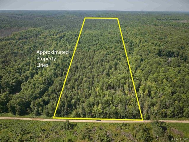 E968 McAfee Rd, Trenary, MI 49891