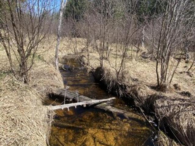E M,goetzville, Plot For Sale
