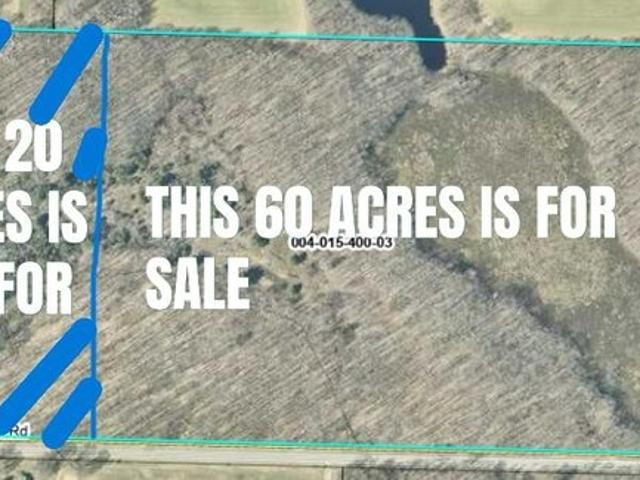 E Madison Rd, Walkerville, MI 49459