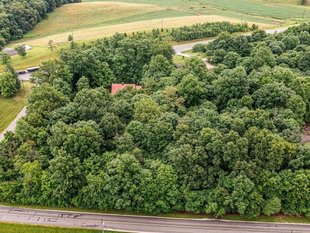 E Maple Drive