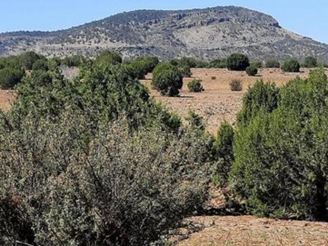 E Martinez Rd, Williams, AZ 86046
