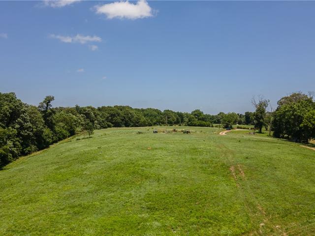 E McNelly Road