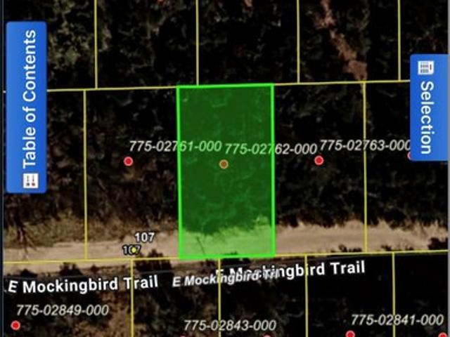E Mockingbird Trl Lot 6, Lead Hill, AR 72644