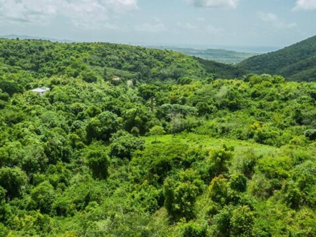 e Montpellier Pr, Saint Croix, Plot For Sale