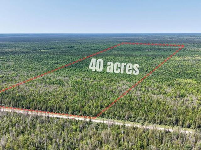 E N County Road 415, McMillan, MI 49853