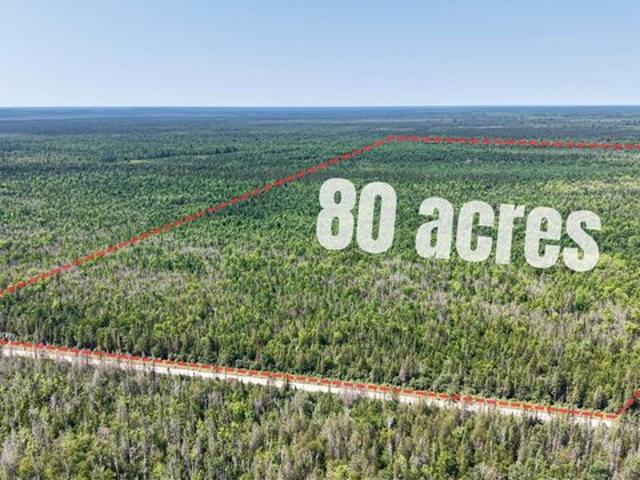 E N County Road 415, McMillan, MI 49853