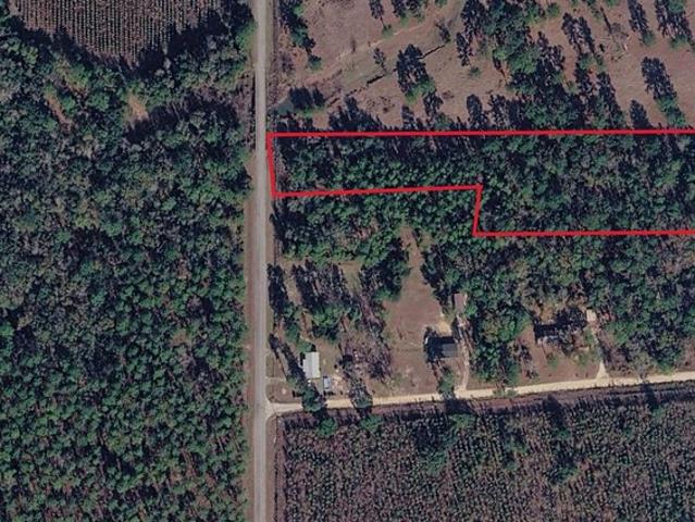 E New Home Church Rd, Climax, GA 39834