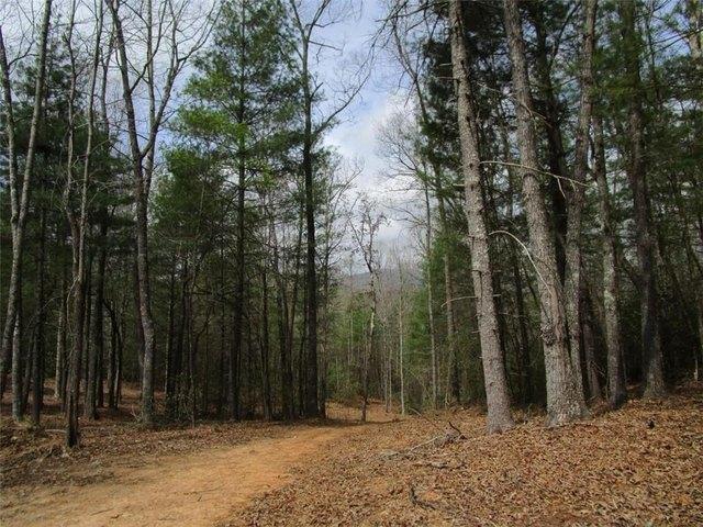 E New Hope Rd, Ellijay, GA 30536