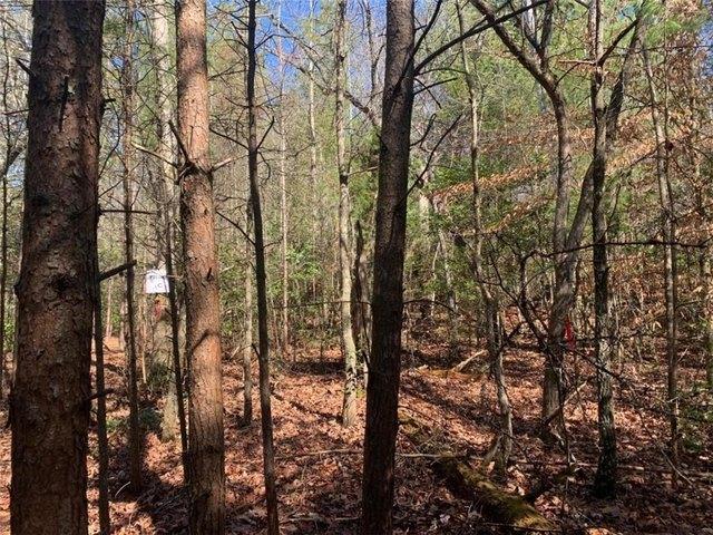 E New Hope Rd, Ellijay, GA 30536