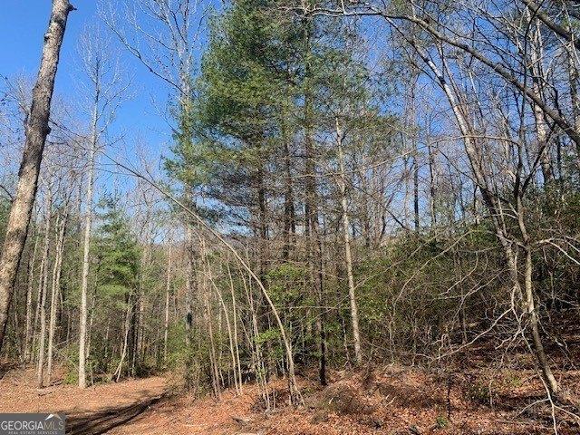 E New Hope Rd Unit Tracta, Ellijay, GA 30536