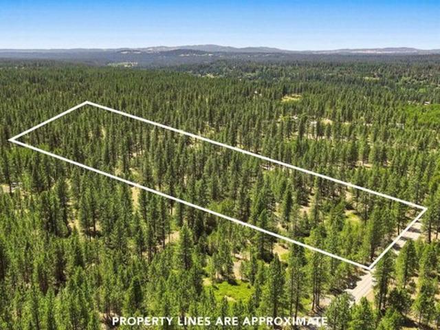 E Owens Rd, Chattaroy, WA 99003