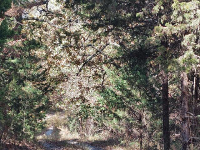 E Oakridge Dr