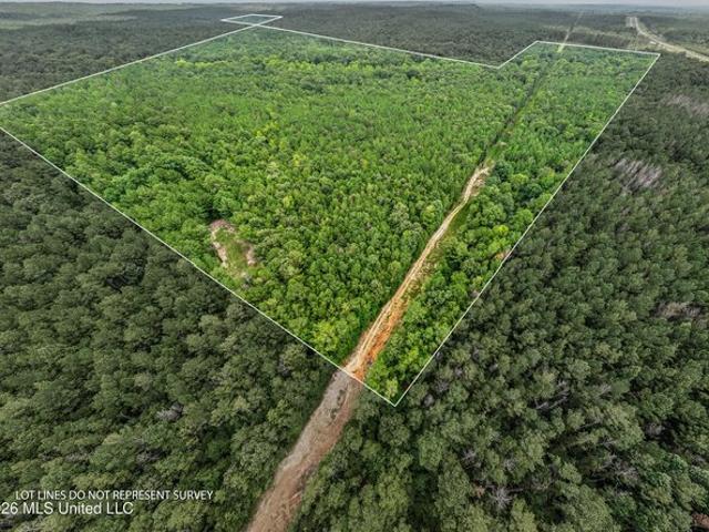 E Of Highway 45, Waynesboro, MS 39367