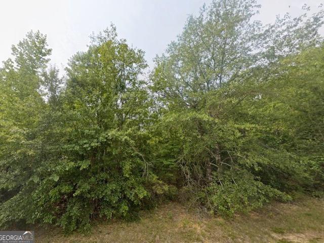 E Old Wire Rd Unit 18, Butler, GA 31006