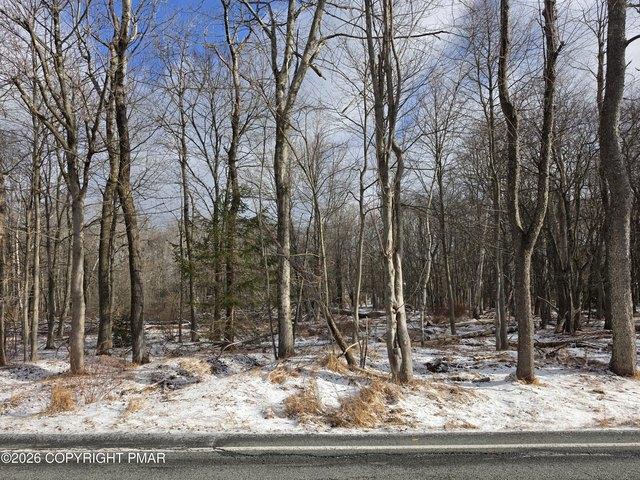 E Old Stage Rd Lot FP1724, Albrightsville, PA 18210