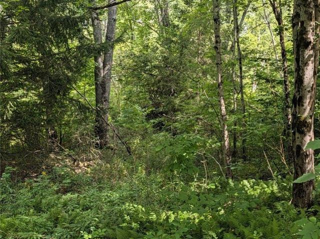 E Afton Rd, Afton, NY 13730