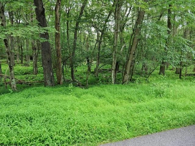 E Alpine Dr Lot,terra Alta, Plot For Sale