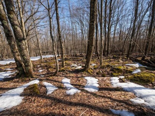 E Alpine Luzerne Section Dr Lot,terra Alta, Plot For Sale
