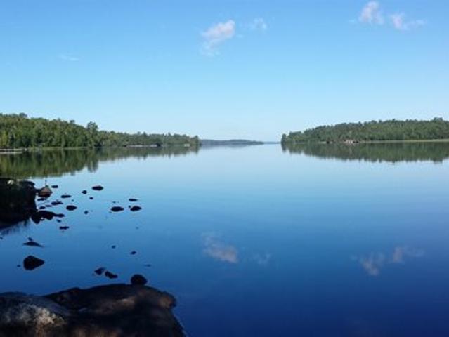 E Armstrong Bay Rd, Tower, MN 55790