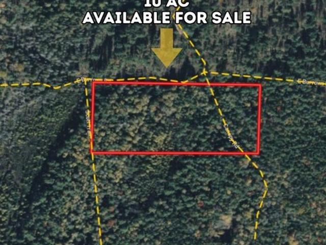 E Burrows Rd, Wolverine, MI 49799