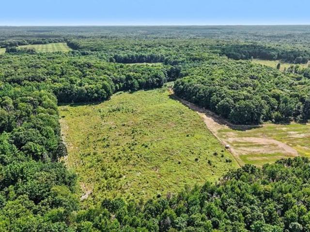 E Bear Paw Dr Lot 1, White Cloud, MI 49349