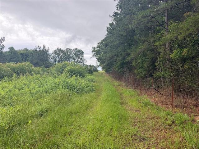 E Bell Road