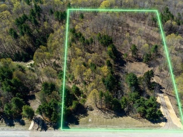 E Bellinger Rd, Cedar, MI 49621