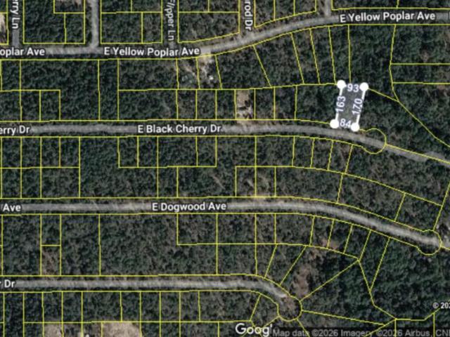 E Black Cherry Dr, DeFuniak Springs, FL 32433 | MLS #997158