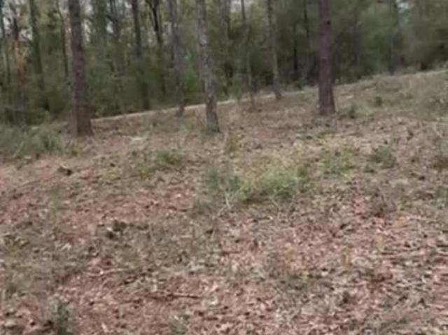 E Black Cherry Dr Lot 28 29, Defuniak Springs, FL 32433