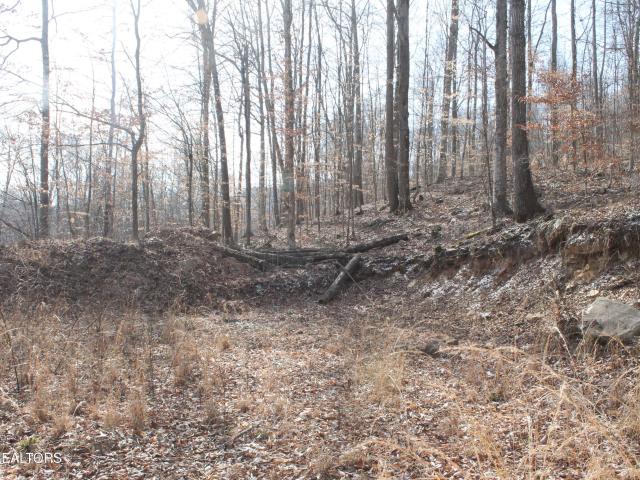E Bobcat Lane, Jamestown, TN 38556