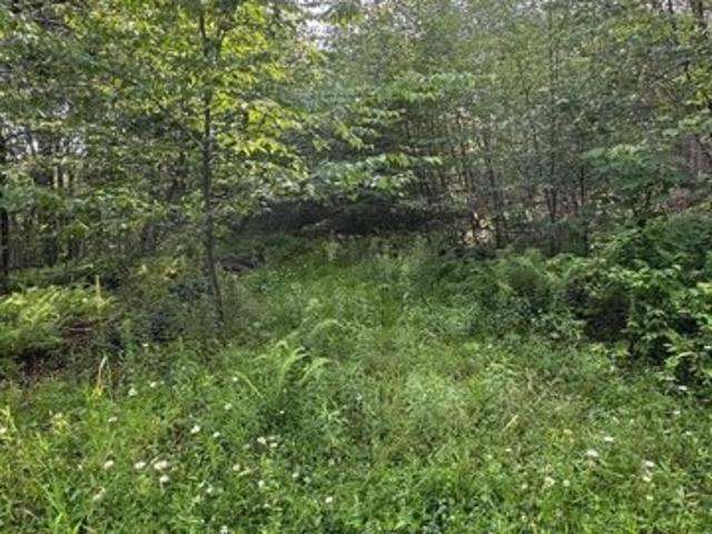 E Bosket Rd, Windsor, Plot For Sale